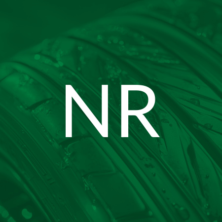 CSM CHLOROSULFONATED POLYETHYLENE RUBBER - Eurorubber Industries